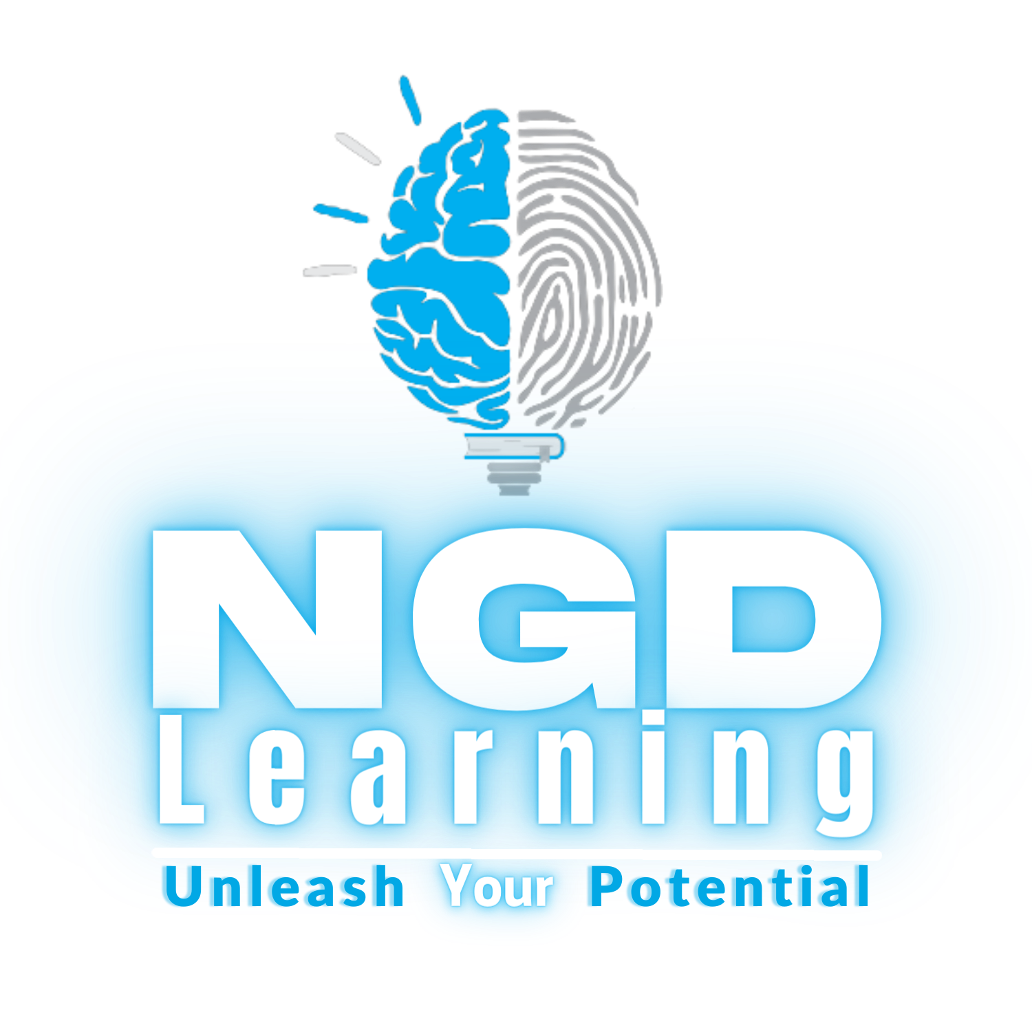 Basics Of Python NGB Consultancy